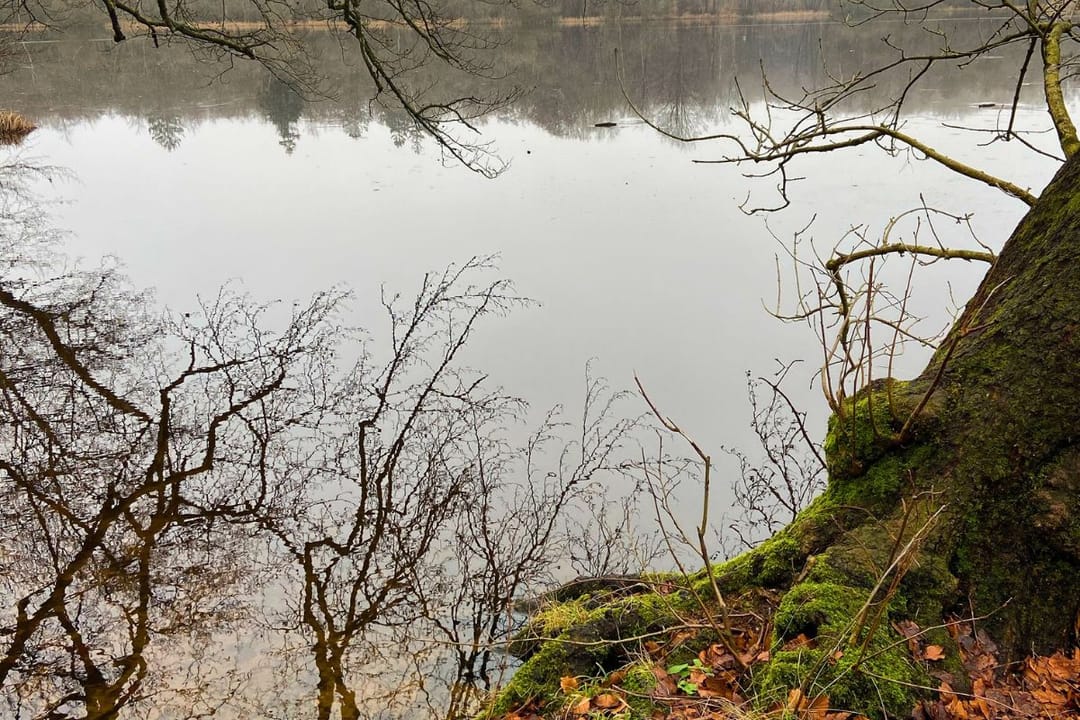 Mental sundhed i naturen i Køge og Solrød | FOF